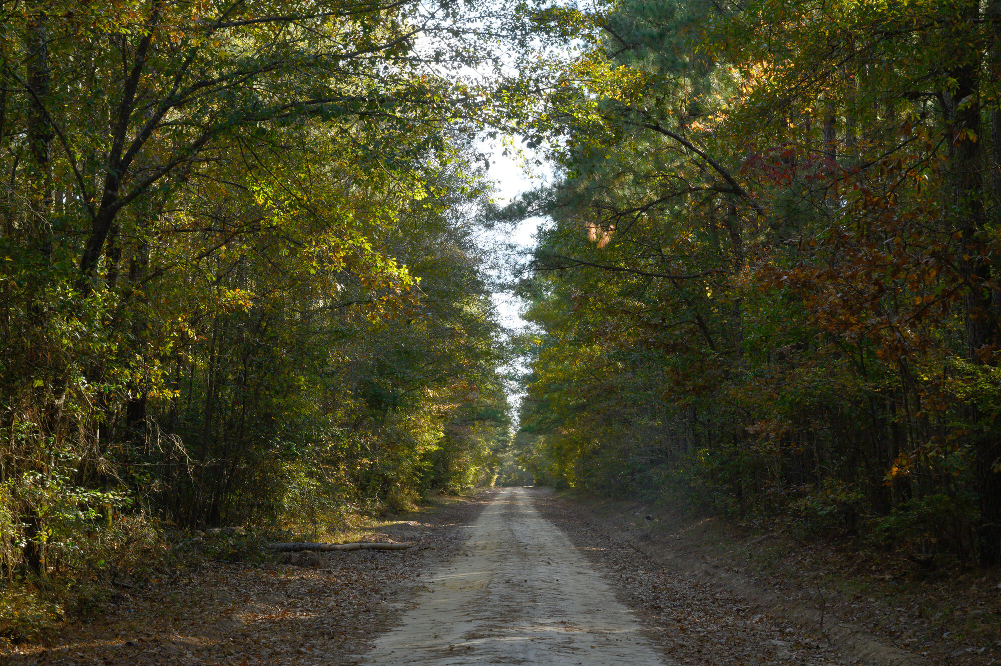 UPDATED: Bryant, sentenced to death for killing 3 Sumter men, executed ...